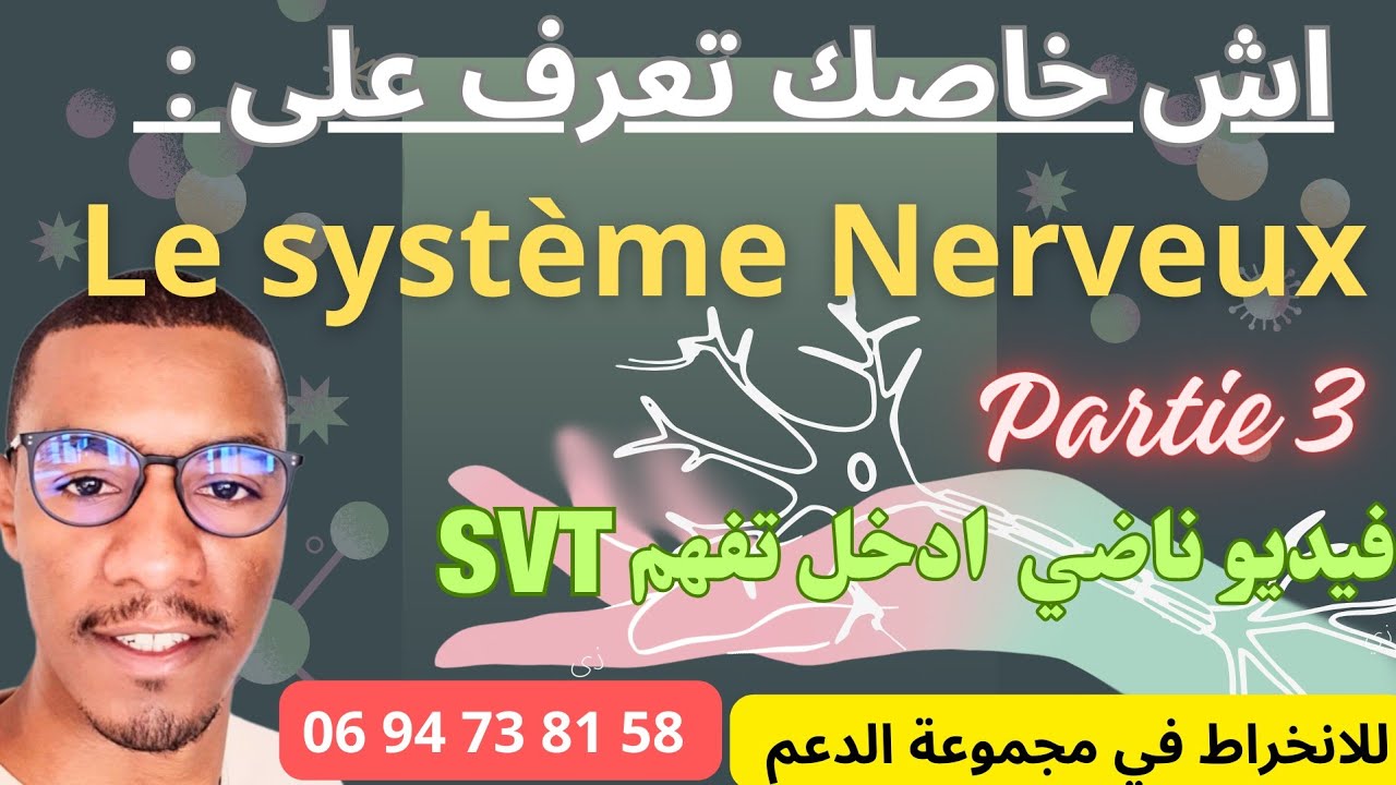 Milleur Résumé de Système Nerveux | SVT 3APIC Partie 3 | افهم الجهاز ...
