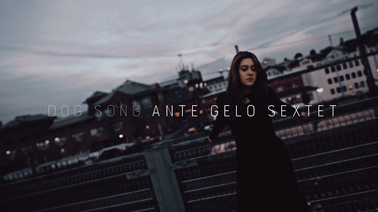 Ante Gelo Sextet - DOG SONG (VISUAL) - YouTube