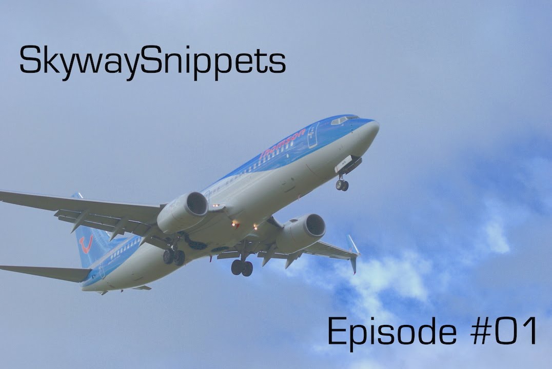 SkywaySnippet #01-Thompson 737 800 With Split Scimitar Wings - YouTube