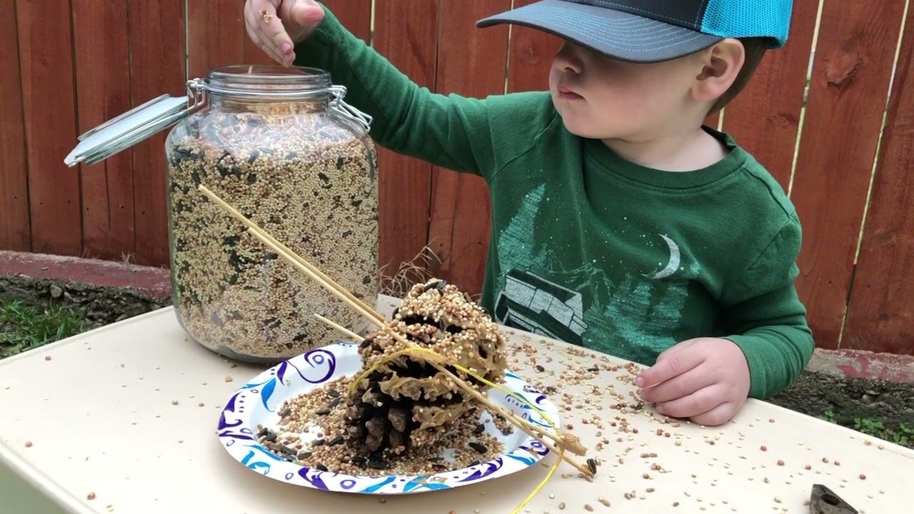 Easy DIY bird feeder project for kids – starkidslearn.com