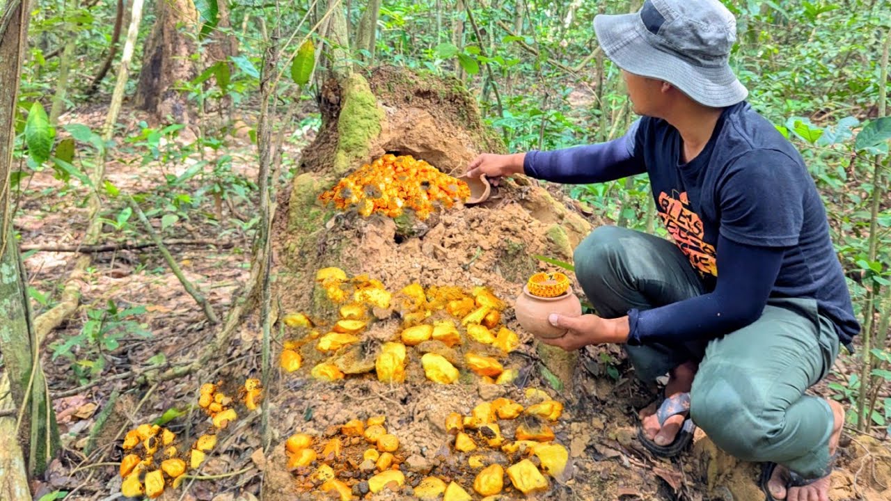 Digging for gold in the middle of the forest. There is an incredible ...