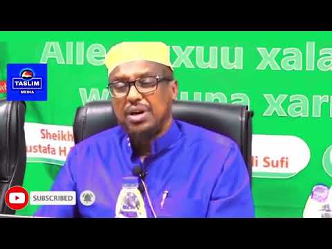 Sheikh mustafa - YouTube