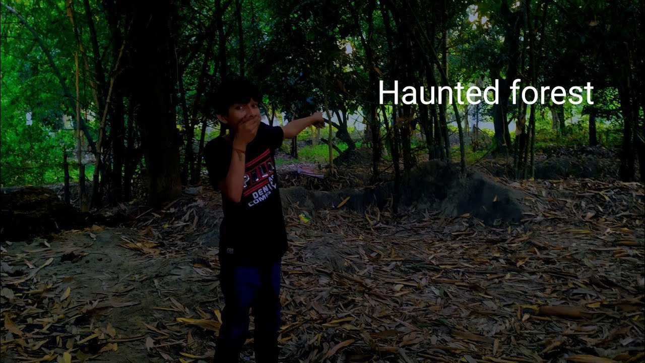Visiting the most haunted forest of India - YouTube