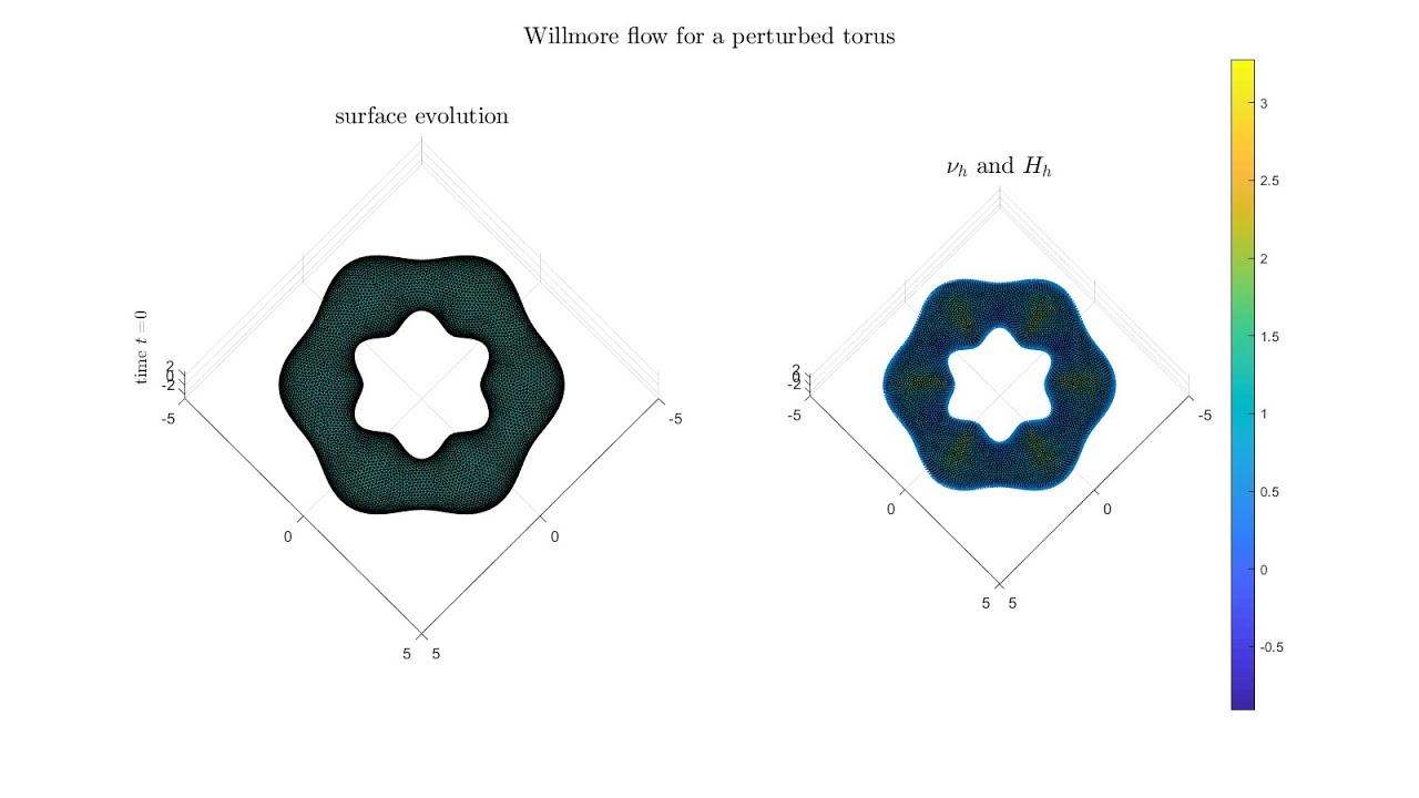 Willmore flow of a perturbed torus towards a Clifford torus - YouTube