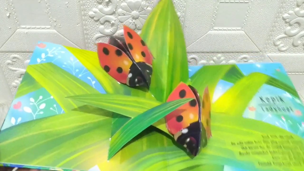 Beautiful Animals Pop Up Book - YouTube