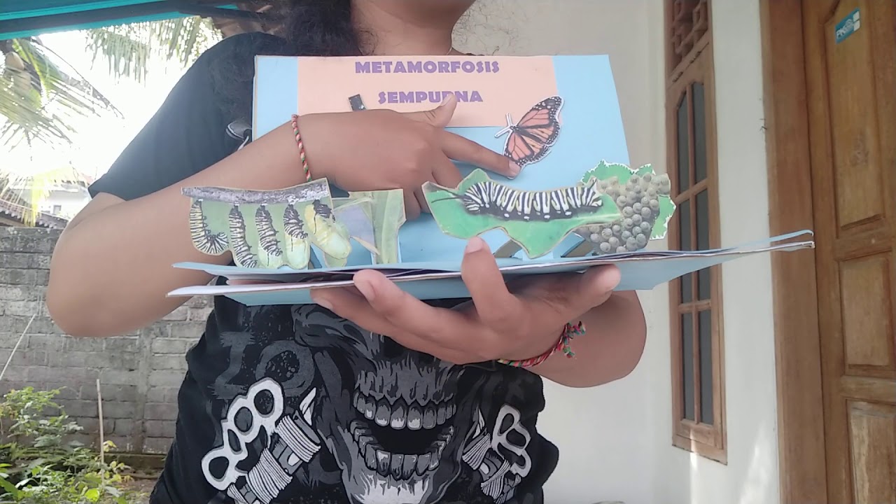 Video buku pop-up Media Pembelajaran - YouTube