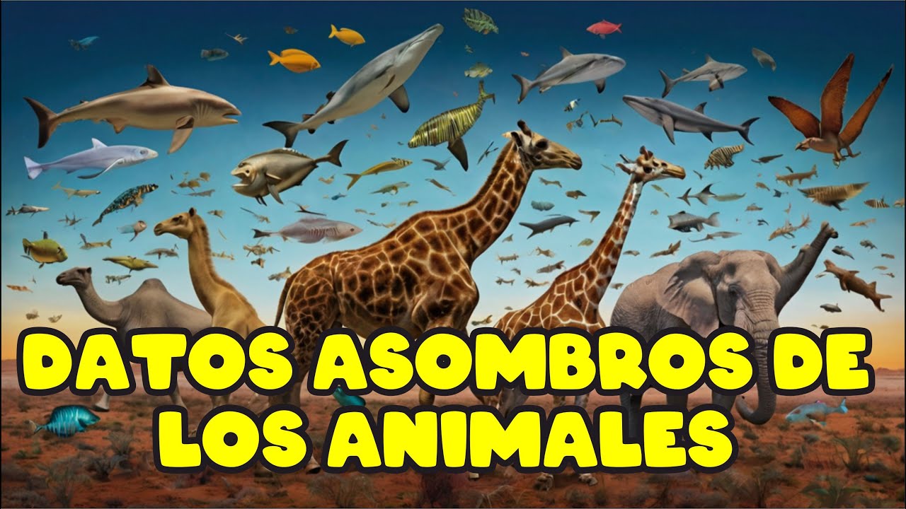 Datos Curiosos de Animales #DatosCuriosos #IncreíblePeroCierto # ...