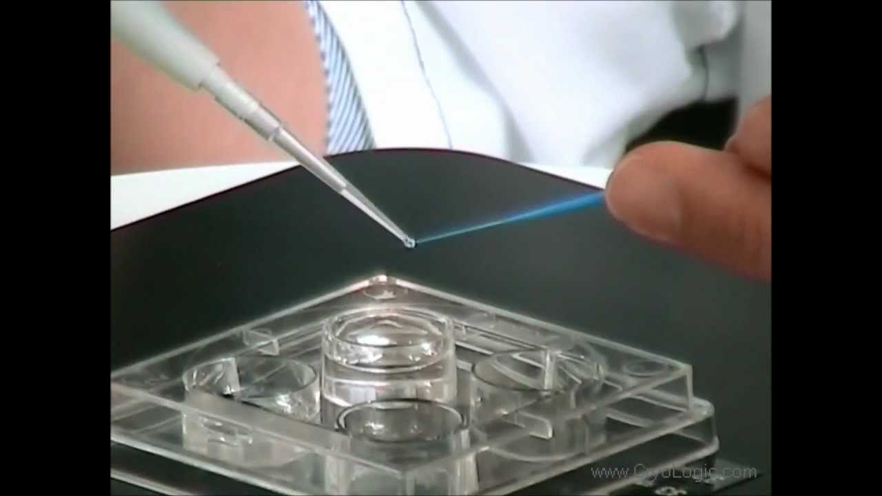 CryoLogic CVM 2 SAMPLE LOADING (Embryo Vitrification) - YouTube