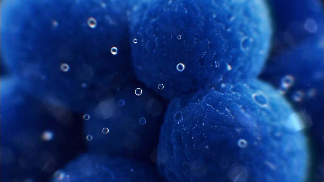 Cell Division Logo Reveal - YouTube