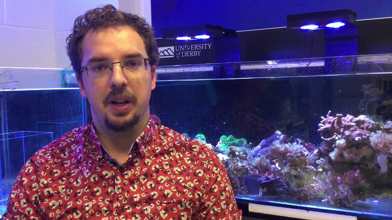 Dr Michael Sweet Coral Madeatuni - YouTube