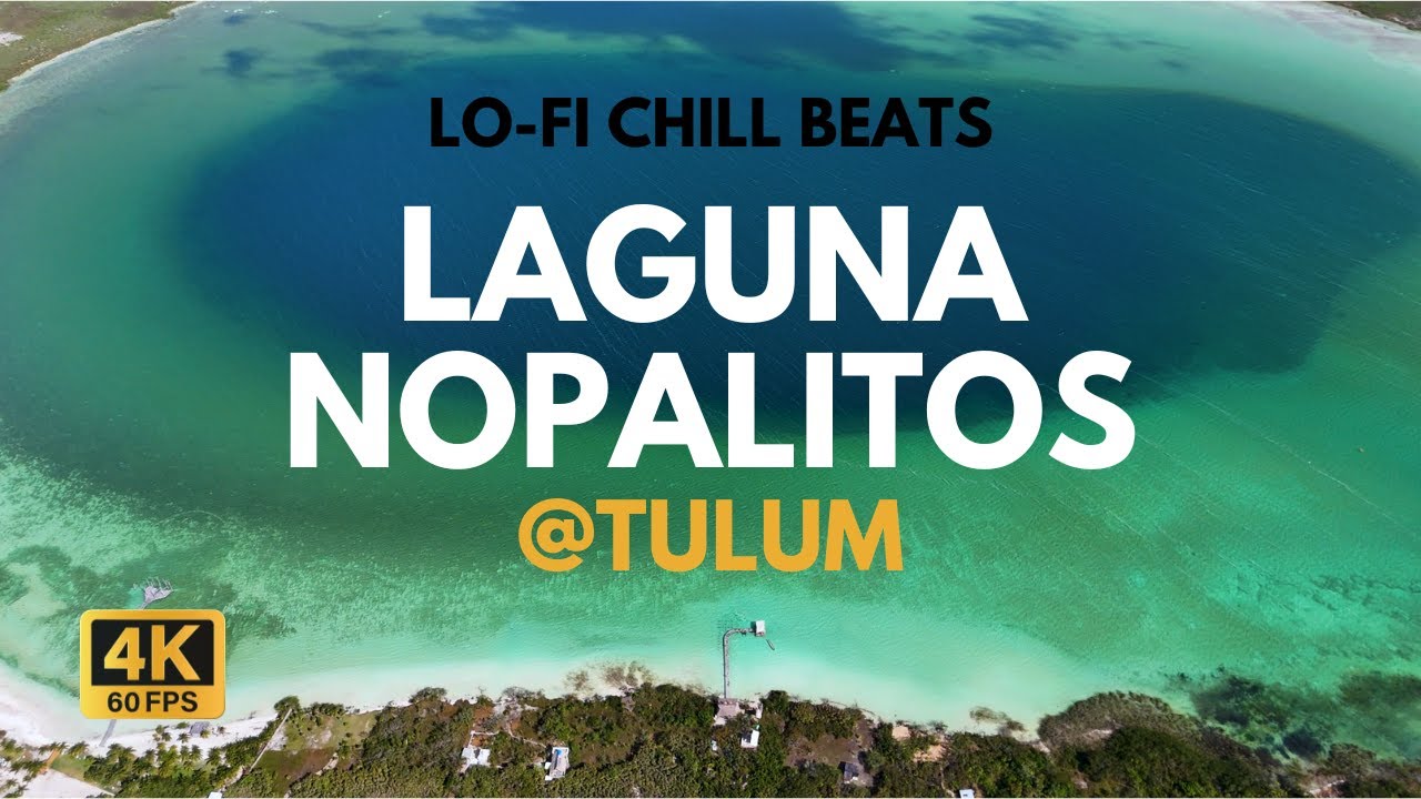 🎶LO-FI Chill Beats🎶 |📍Laguna Nopalitos, Tulum, México | Secret Place: Neek Tulum - YouTube