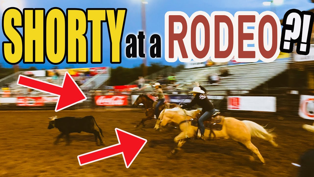 PAYSON ALL GIRL RODEO & RESCUING PASTURE HORSES - YouTube