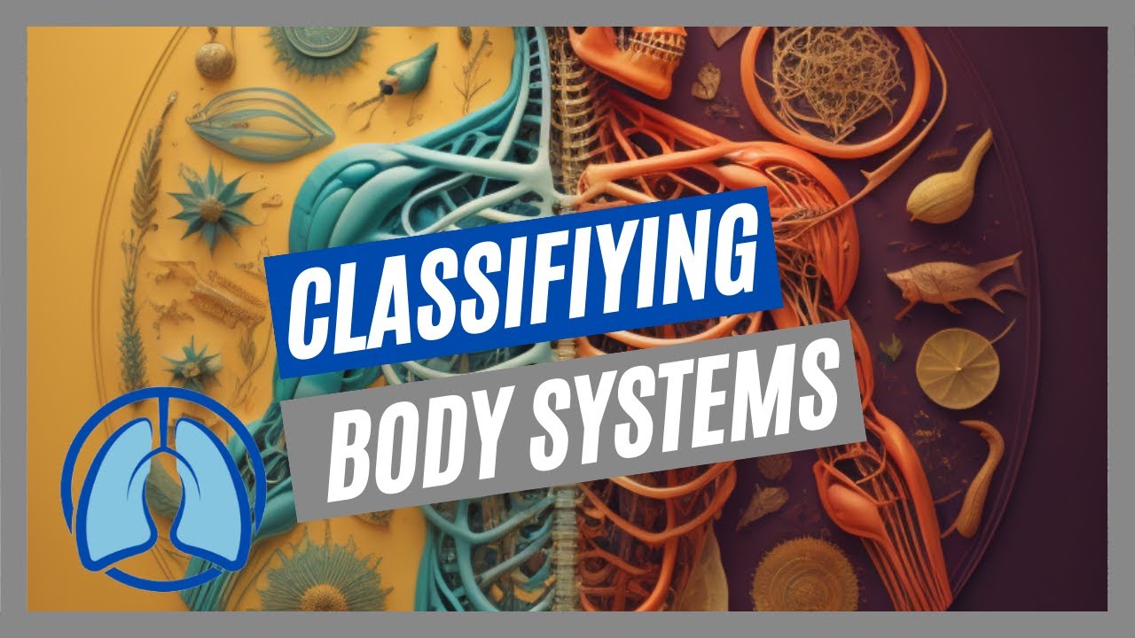 Organizing Body Systems - YouTube