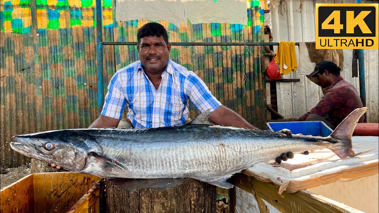 Vanjaram fish cutting video/Fishcuttingrs #fishcuttingrs #kasimedu # ...