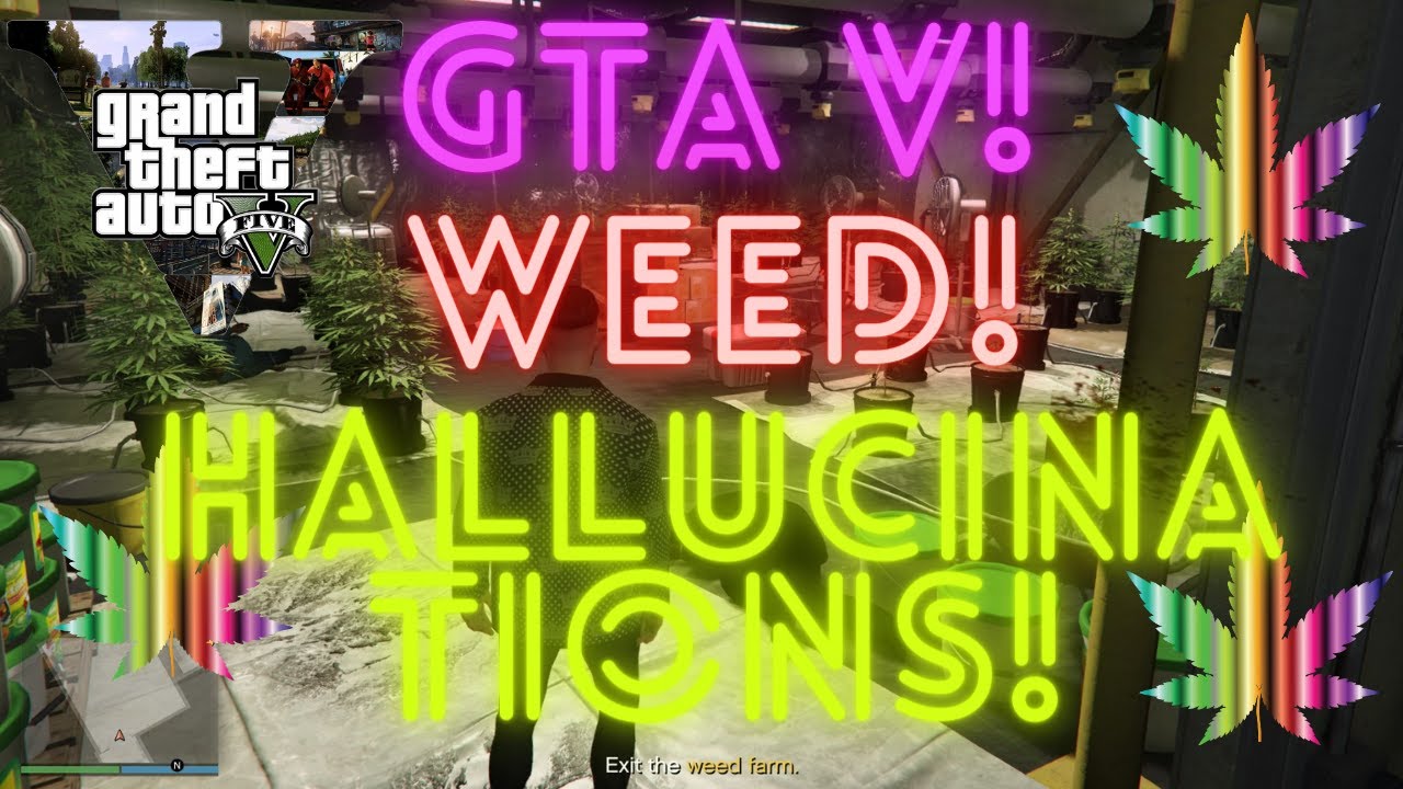 GTA 5 Livestream: High on weed! - YouTube