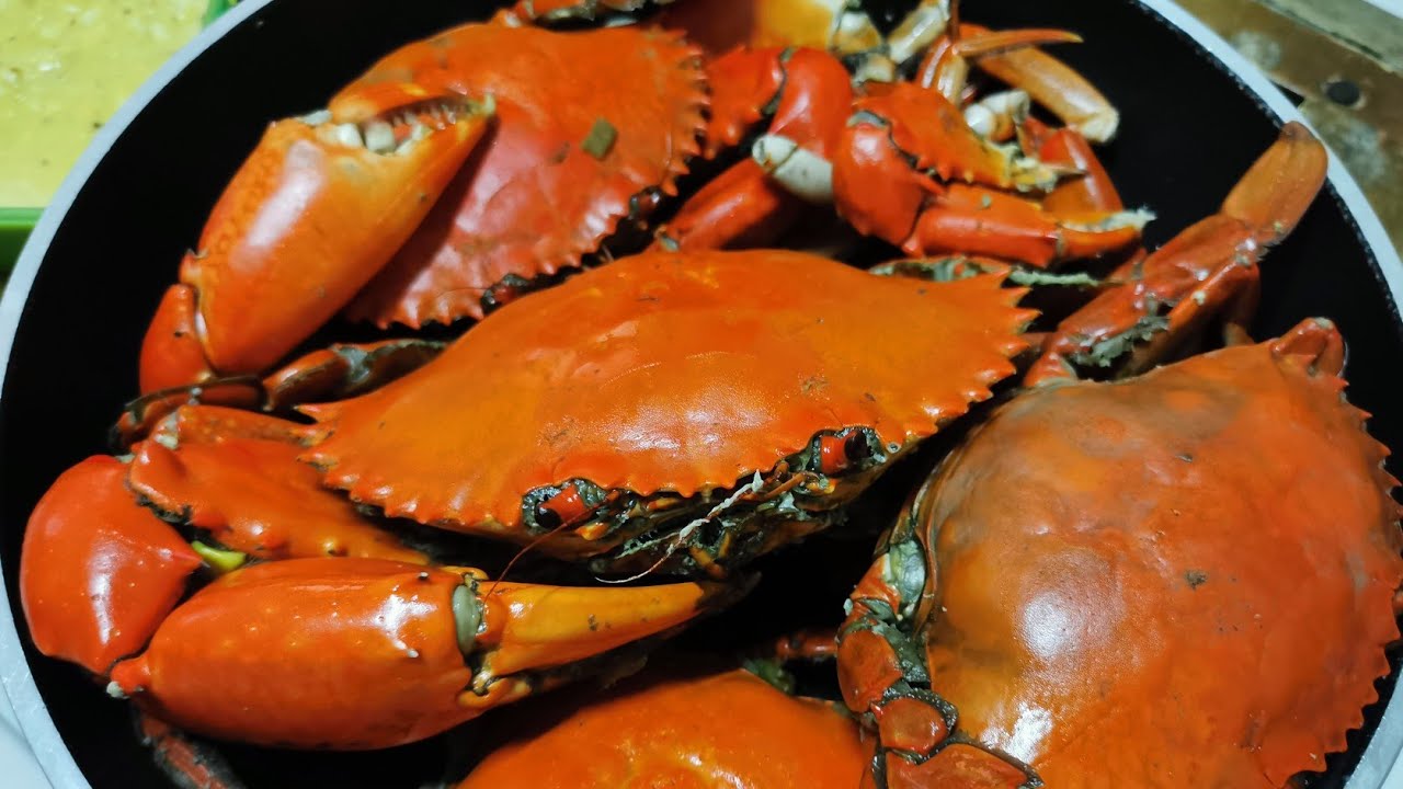 Extremely Satisfying Sounds of Live Crabs - YouTube