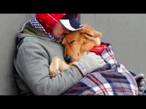 50 Heartwarming Acts Of Kindness Towards Animals That Will Make You Cry❤