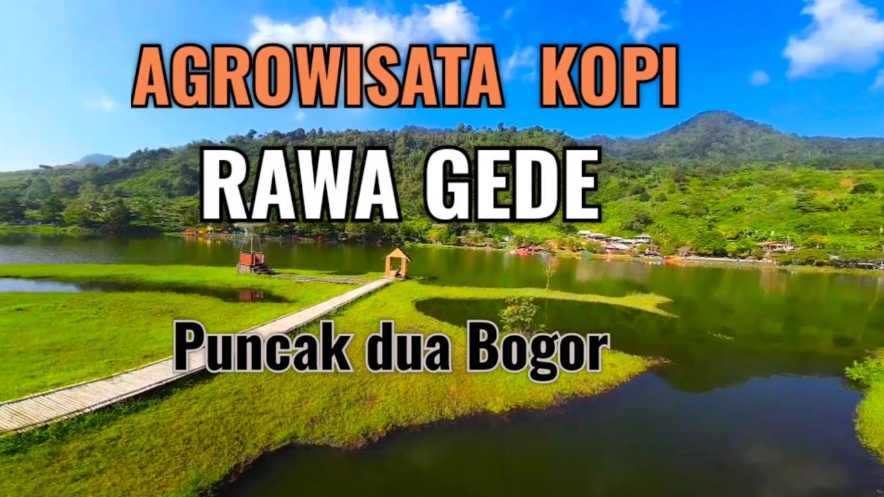 Agrowisata Kopi RAWA GEDE, Puncak dua Bogor. - YouTube