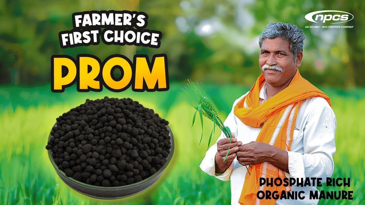 How to Start a Phosphate Rich Organic Manure (PROM) Manufacturing ...