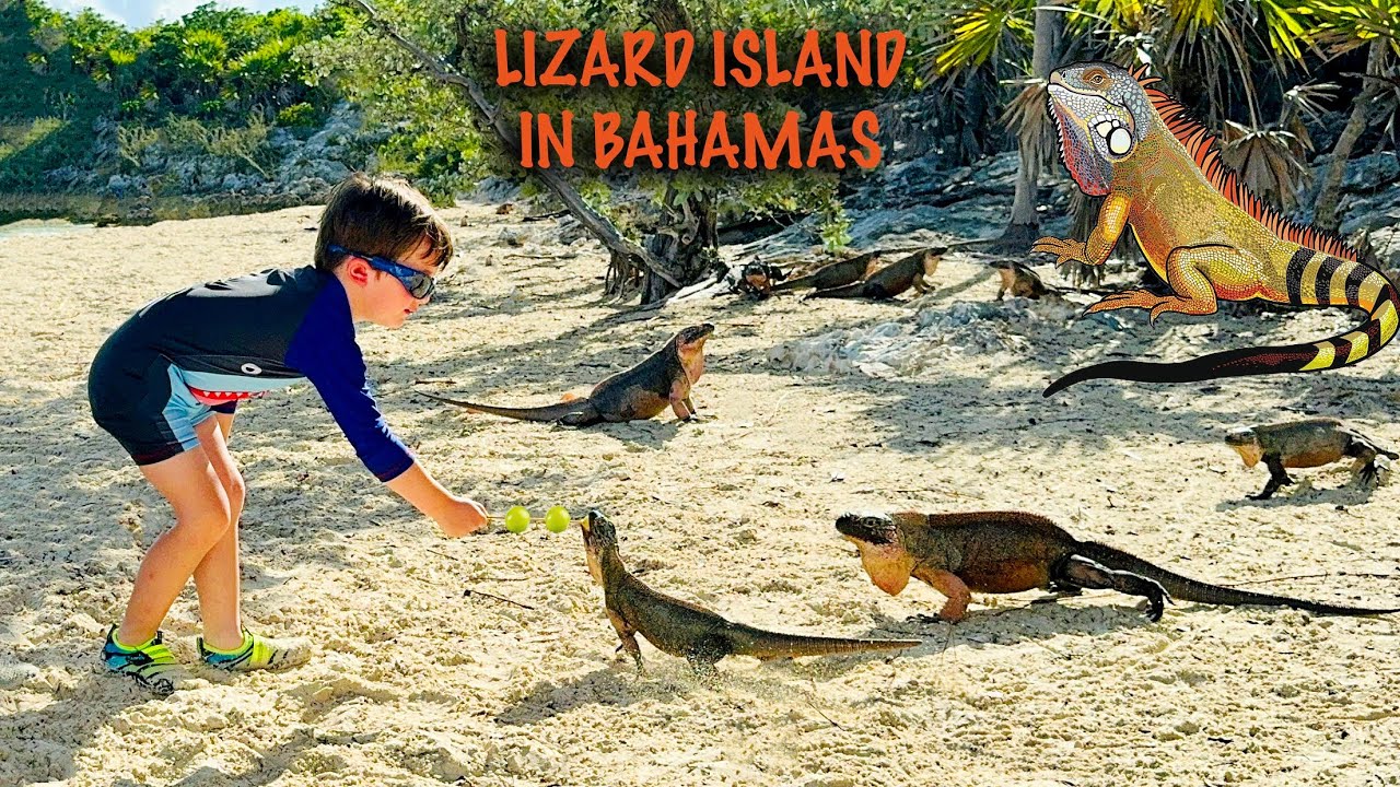 FEEDING IGUANA'S on LIZARD ISLAND | Family Exuma BAHAMAS Tour Adventure ...