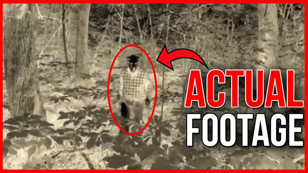 Giant Predator Walks On Hidden Trail cam | Caught on Cam - YouTube