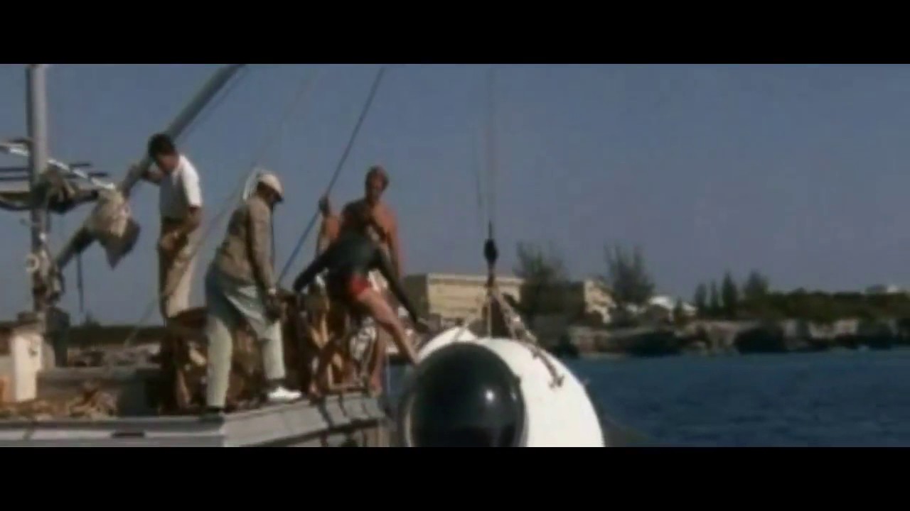 Flipper 1964 S02E11 A Job for Sandy - YouTube