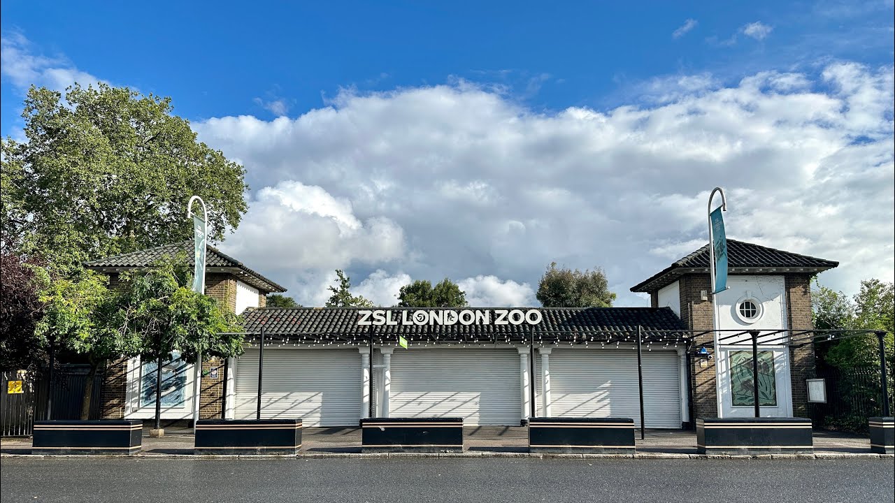 Part 2 | London Zoo Walking Tour | Rain And Sunshine | Exciting ...