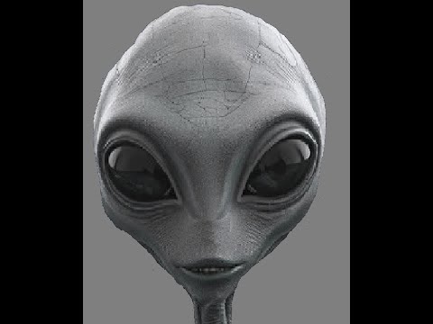 Lizard Problems - YouTube