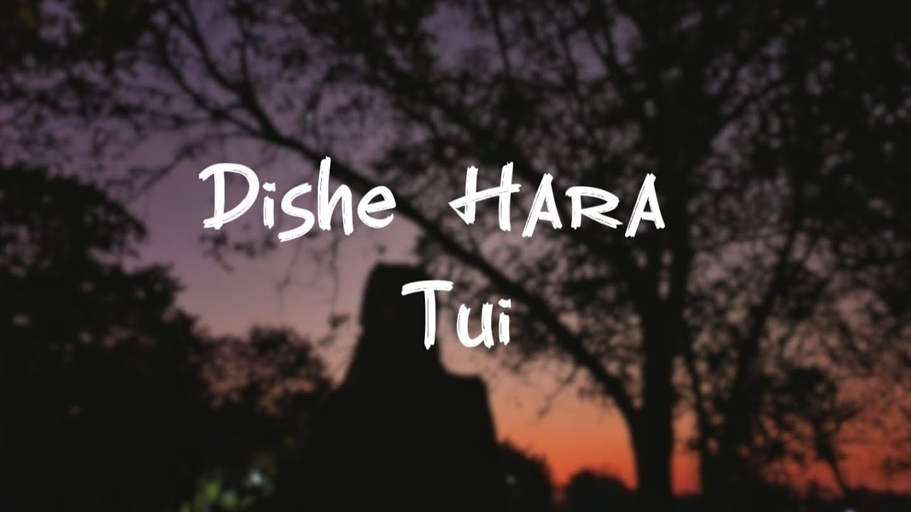 Dishe hara tui (দিশেহারা তুই) | Shuvro | Labib Prodhan | Late night Cover - YouTube