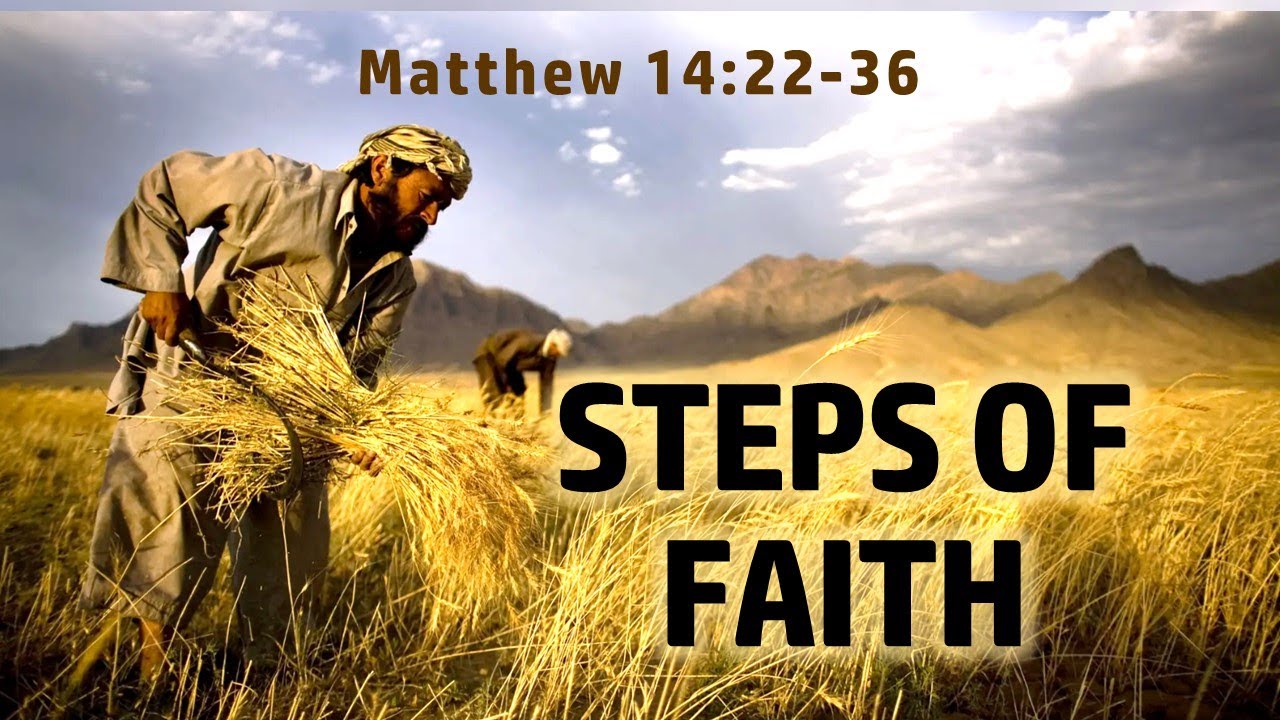 Matthew 14 36