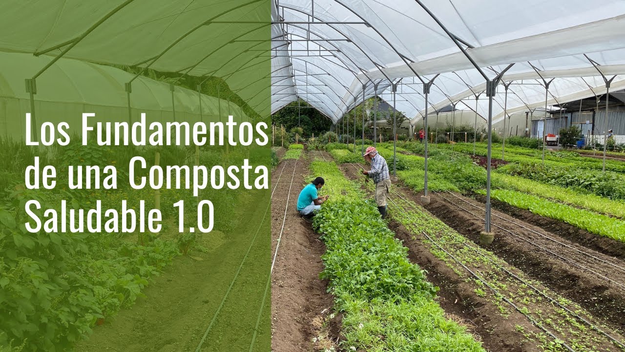 Los Fundamentos de una Composta Saludable 1.0 - Cómo Empezar a Integrar ...