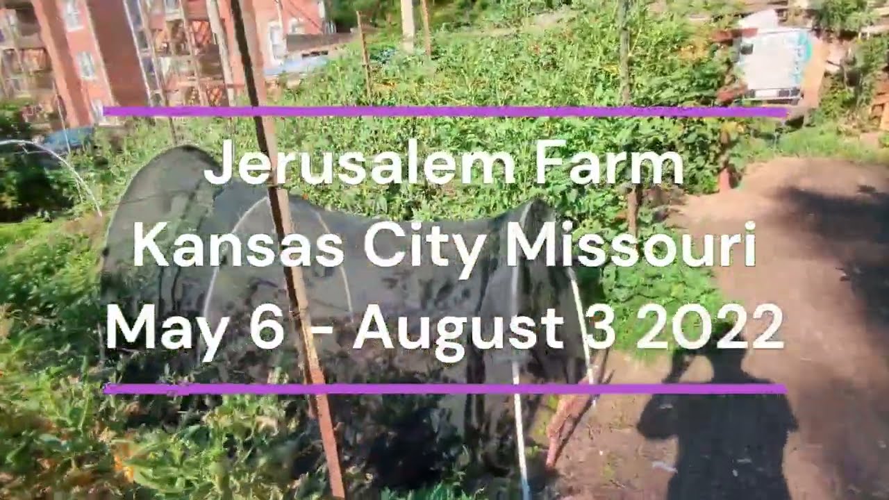Jerusalem Farm – Kansas City, MO – May 5 to August 5, 2022 - YouTube