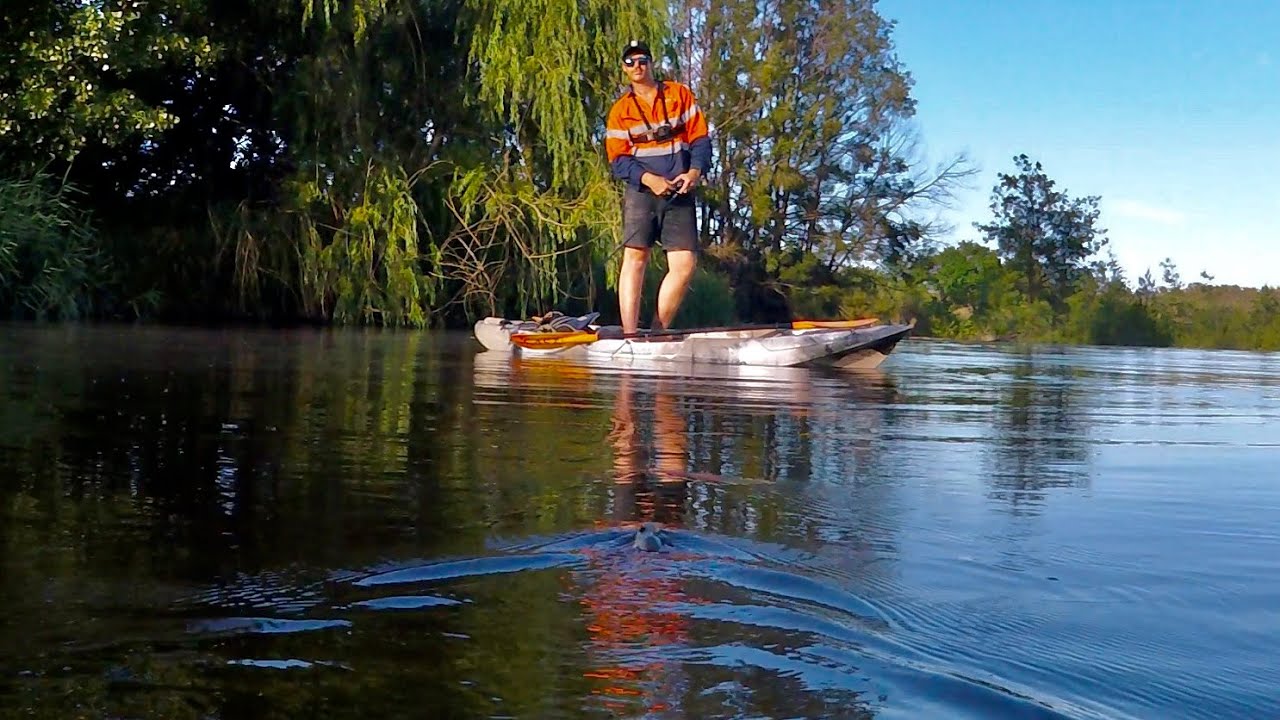 Murray Cod Hunting - River Kayak Fishing - YouTube