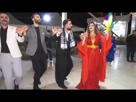 Zelal ve Rojhat Düğün fragmanı #funny #halaybasi #halay #düğün #snake #fun #kurdish #snake #reptile