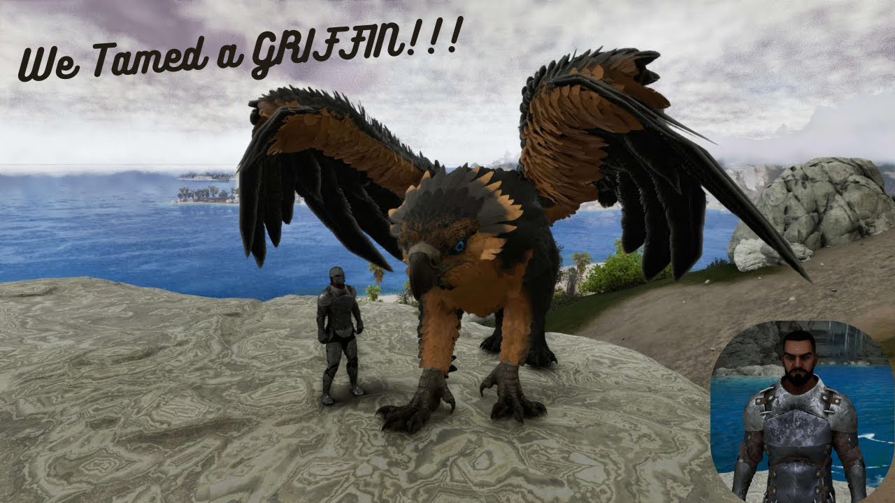 How to tame a griffon with an easy trap 🪤 - YouTube