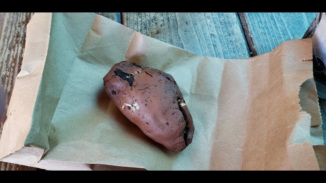 Poo or Potato? - YouTube