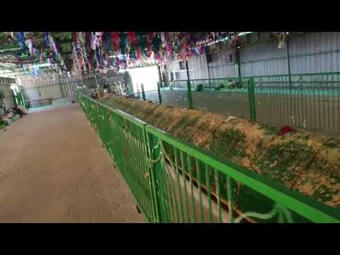 VENADU DARGHA SULLURPET (Hazarath Dawood sha Valleallha R.A) #dargah # ...