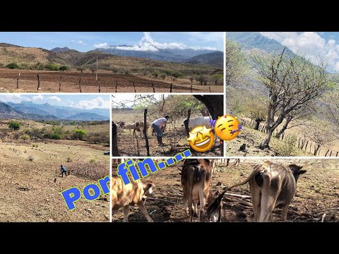 Un nuevo integrante 🥰+shascua 😋 - YouTube