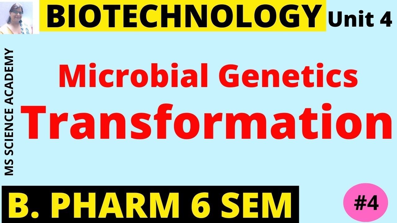Microbial Genetics-Transformation-Pharmaceutical Biotechnology-Unit 4 ...