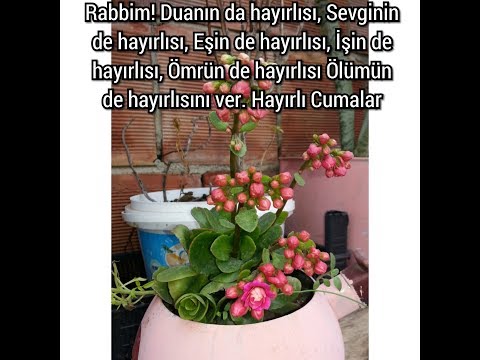 Yeni cuma mesajları 2019/Resimli Cuma Mesajları..Anlamlı