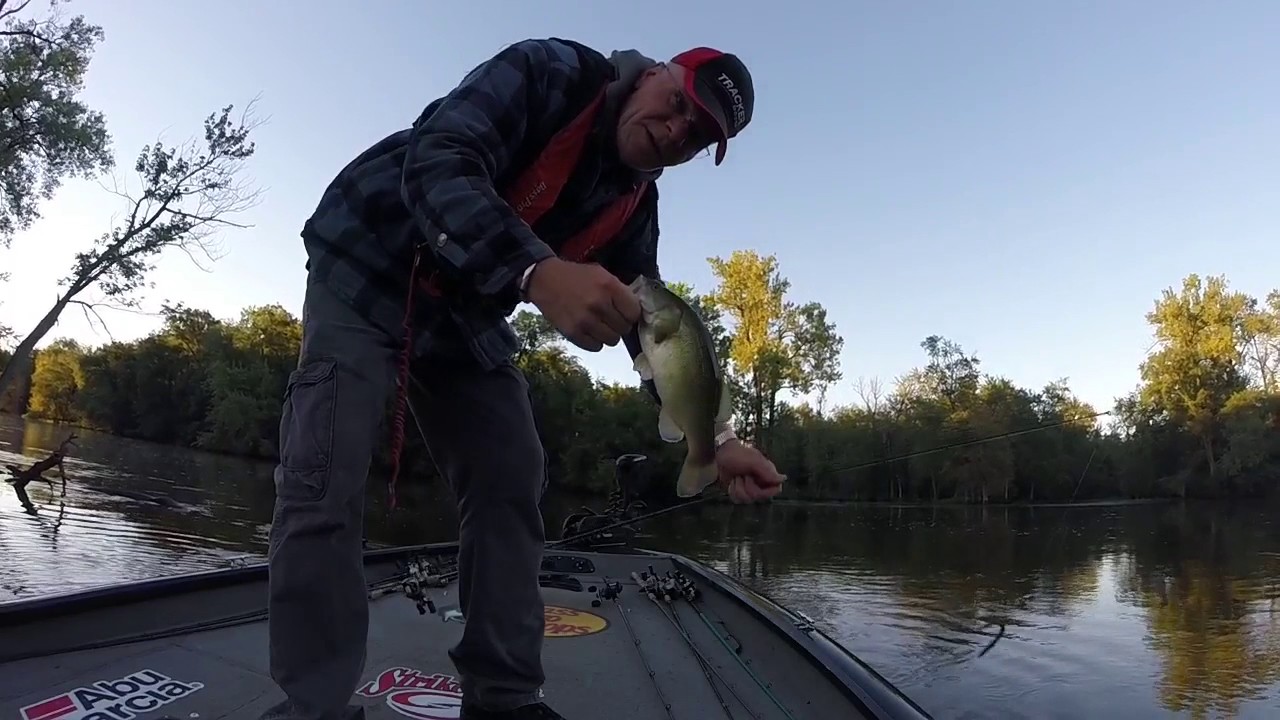 DAY OF THE DINKS - YouTube
