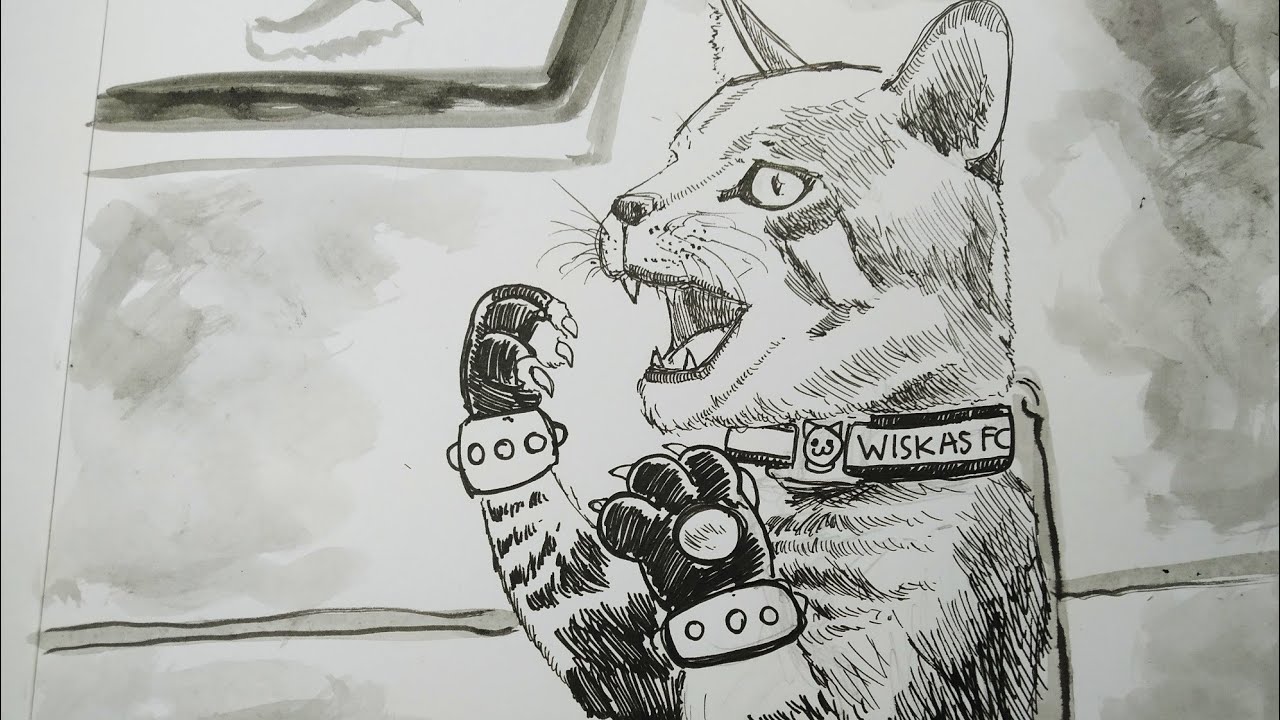 Live Drawing Cat Tyson Cat Boxing | Gambar kucing Tinju - YouTube