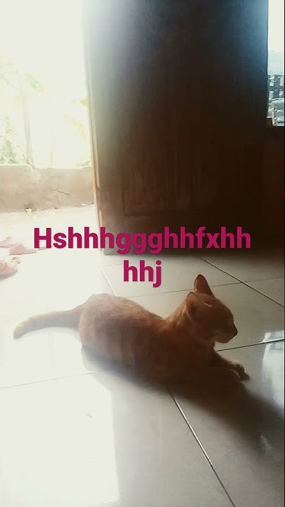 9 Januari 2022 - YouTube