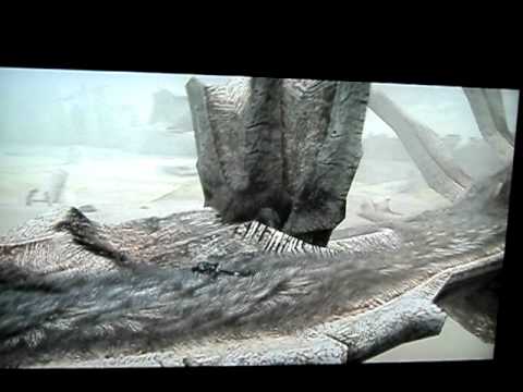 SotC - Agro on colossus)