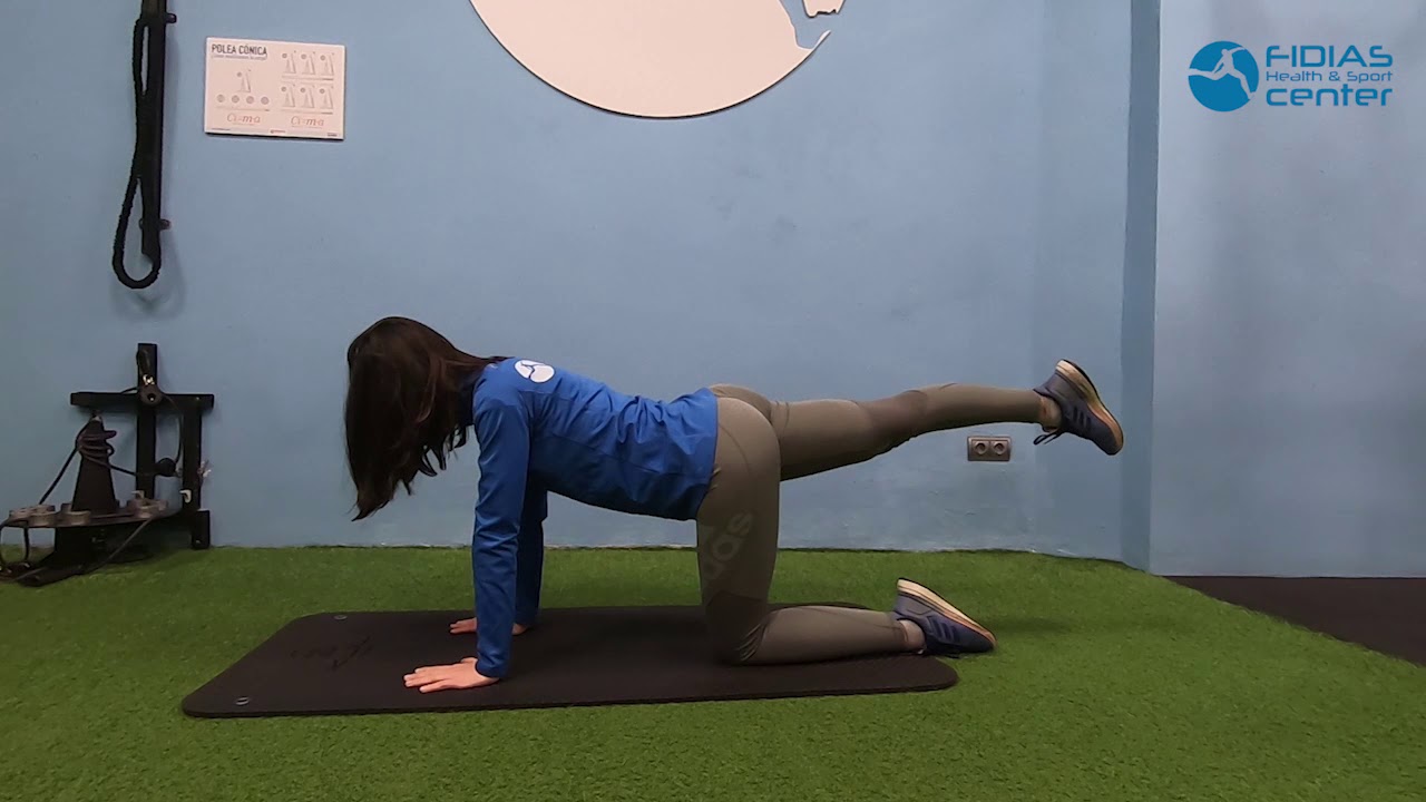 EXTENSIÓN CADERA RODILLA ALTERNA CUADRUPEDIA COZ - YouTube