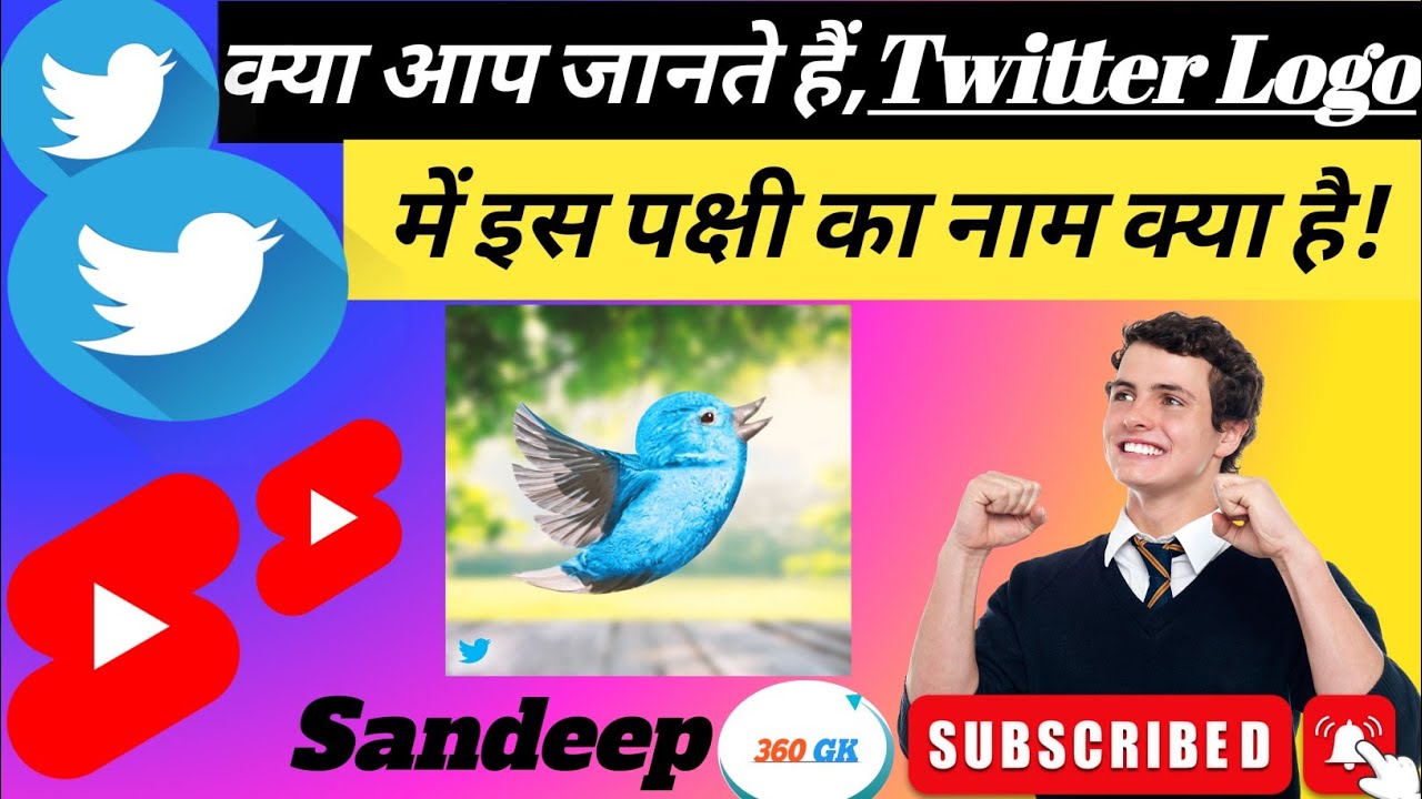 Twitter Bird Name।Larry bird Twitter logo। Twitter Ke Logo Me Bird ...