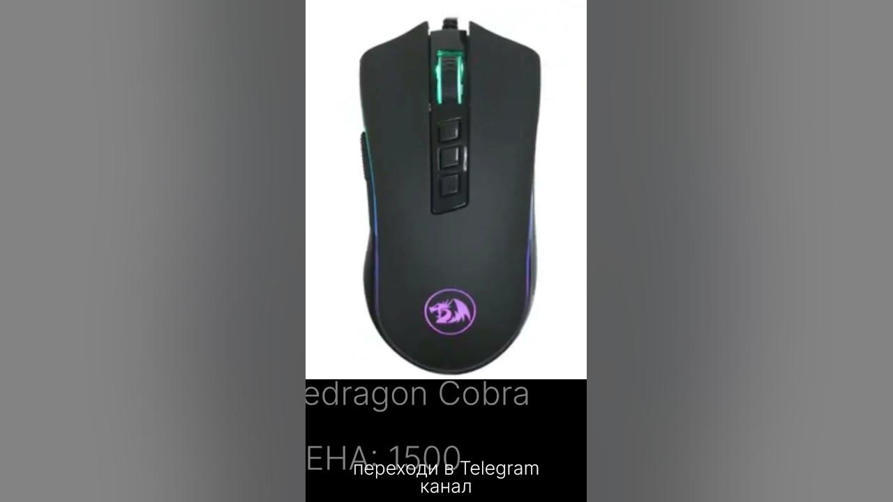 Топ мышек #shorts - YouTube