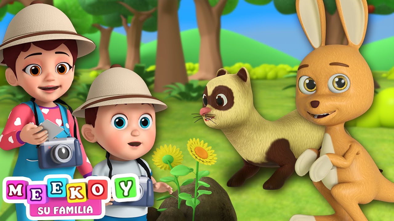 ¿Cómo se mueven los animales? Canciones de animales | Meeko's Family en ...