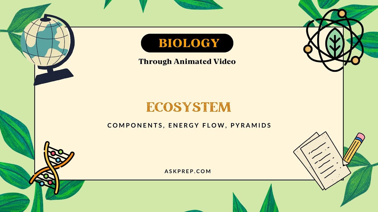 Ecosystem | Components, Energy Flow, Ecological Pyramids | Class 12 ...