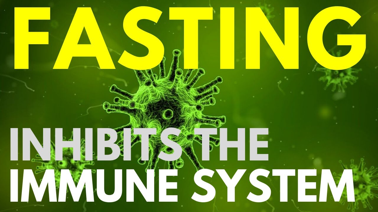 Fasting Inhibits the Immune System - Increasing Risk of Viral and ...